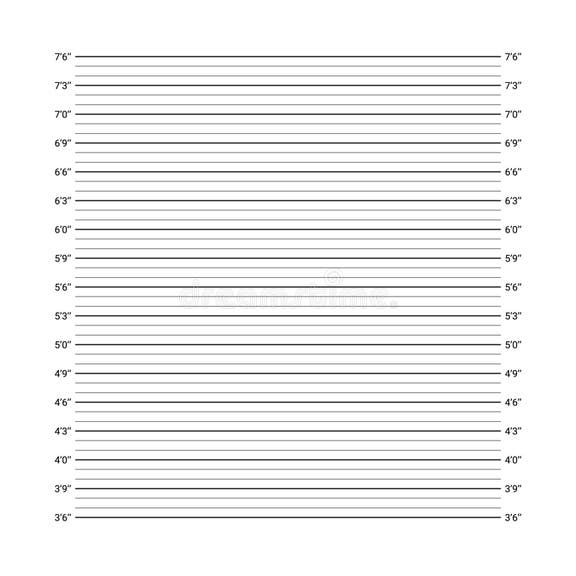 Board Mugshot Stock Illustrations 295 Board Mugshot Stock