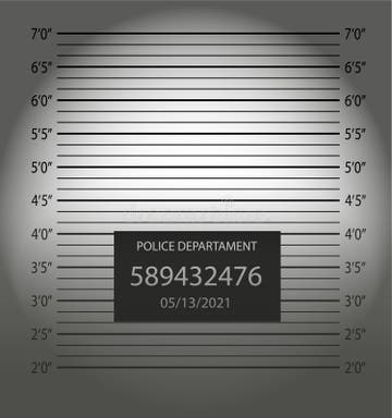 Police Mugshot.Police Lineup or Mugshot Background. Stock Vector ...