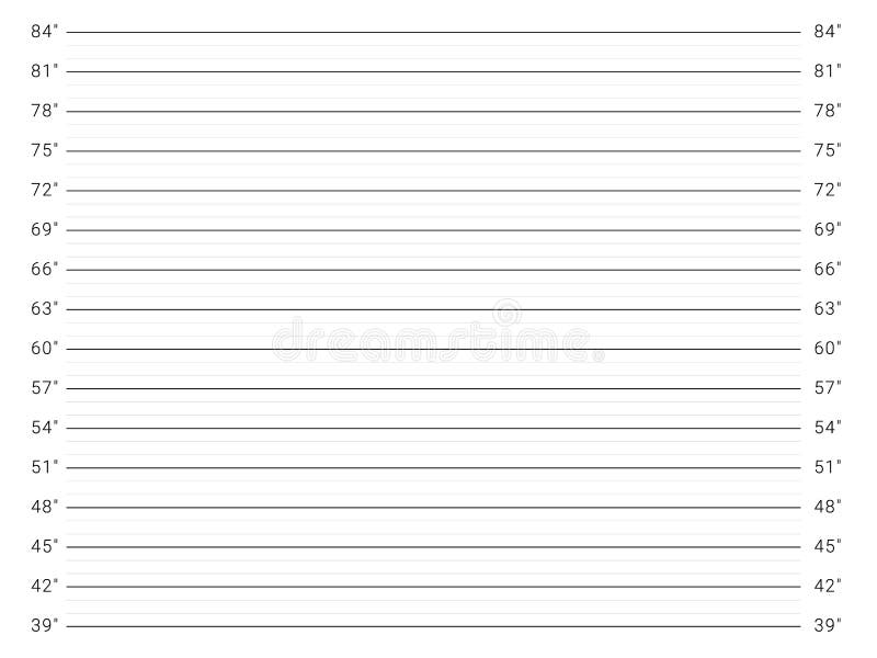 Police Mugshot Mugshot. Mug Shot Template. Identity Parade Background ...