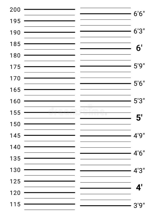 Police Mugshot Mugshot. Mug Shot Template. Identity Parade Background ...