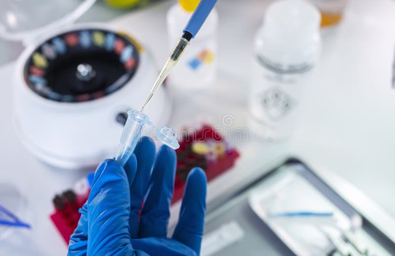 Police Scientist Prepares Vial for Crime Lab Analysis Stock Image ...