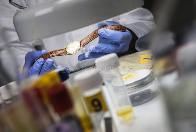 Police Scientist Working in Criminalistic Lab, Victim Clock Analysis ...