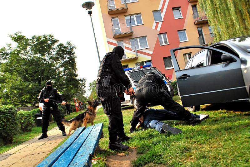 Police editorial stock image. Image of hook, armed, stopping - 44151134