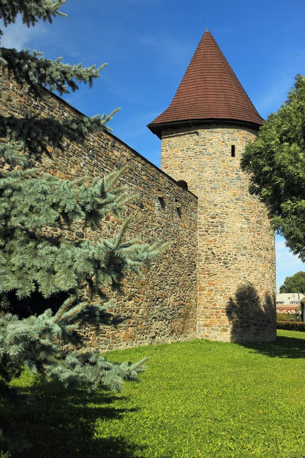 Policka stock image. Image of policka, grass, defensive - 33511021