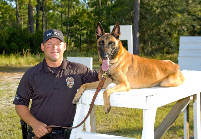 K9-polis med sin hund fotografering för bildbyråer. Bild av angus ...