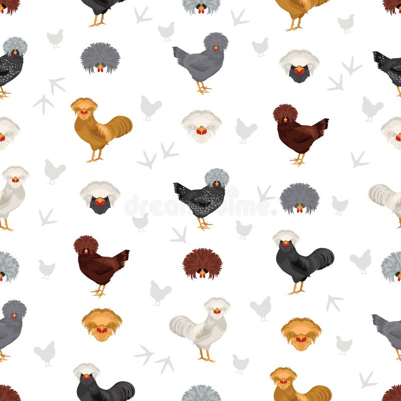 Polish Chicken Breeds Seamless Pattern. Poultry and Farm Animals Stock ...