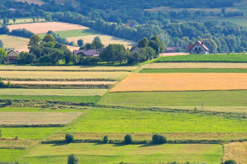 Polish Countryside Landscape Stock Image - Image of flower, brook: 33768251