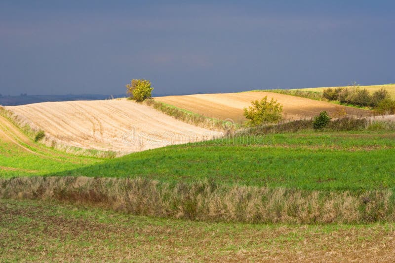 Polish Countryside Landscape Stock Photo - Image of nature, fresh: 31568508