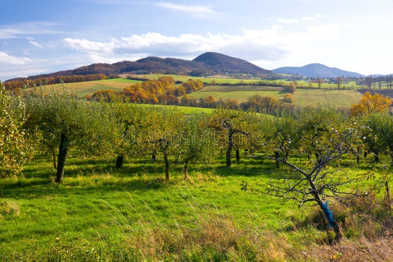 Polish Countryside Landscape Stock Photo - Image of flower, healthy ...