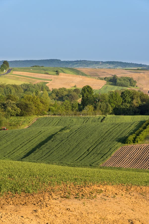 Polish Countryside Landscape Stock Photo - Image of bright, meadow ...