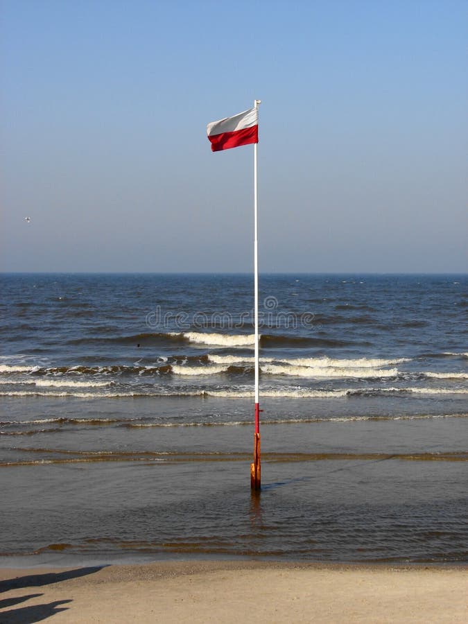 Polish flag stock photo. Image of symbol, pole, flag, sand - 2186002