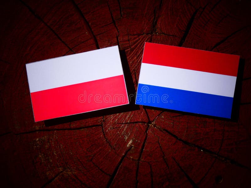 Polish Flag with Dutch Flag on a Tree Stump Isolated Stock Photo ...