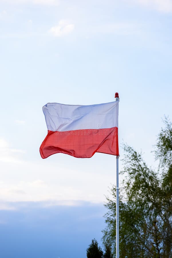 Polish Flag Fluttering in the Wind at Sunset Stock Image - Image of ...