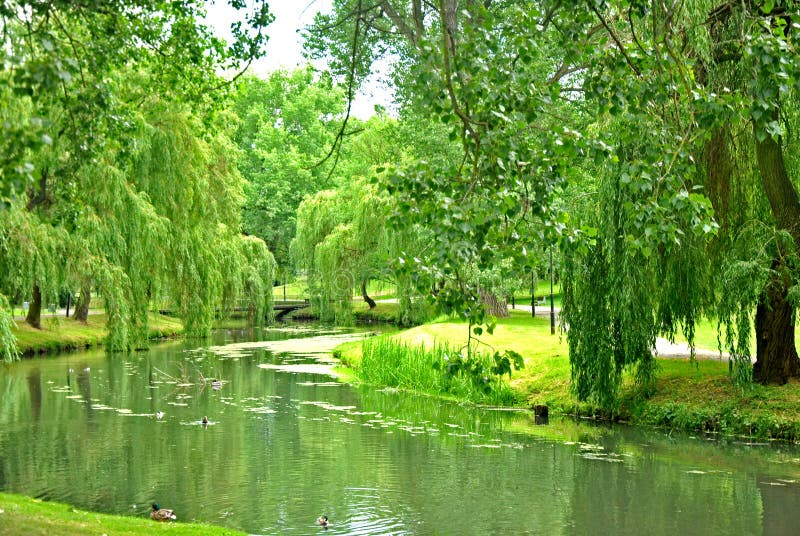 Polish park stock photo. Image of green, nature, polish - 73223968