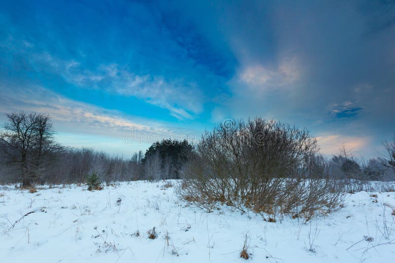 Polish Typical Winter Rural Landscape Stock Image - Image of birds ...