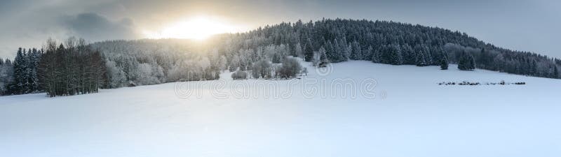 Polish Winter Landscape in the Mountains, Snowy Trees and Fields Stock ...