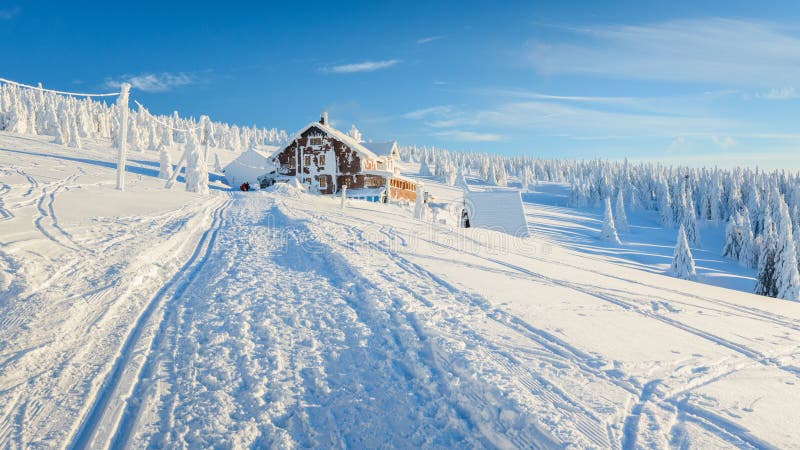 Polish Winter Landscape in the Mountains, Snowy Trees and Roads Stock ...