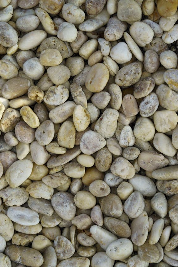 Polished beach rocks stock photo. Image of rocky, smooth - 88980224