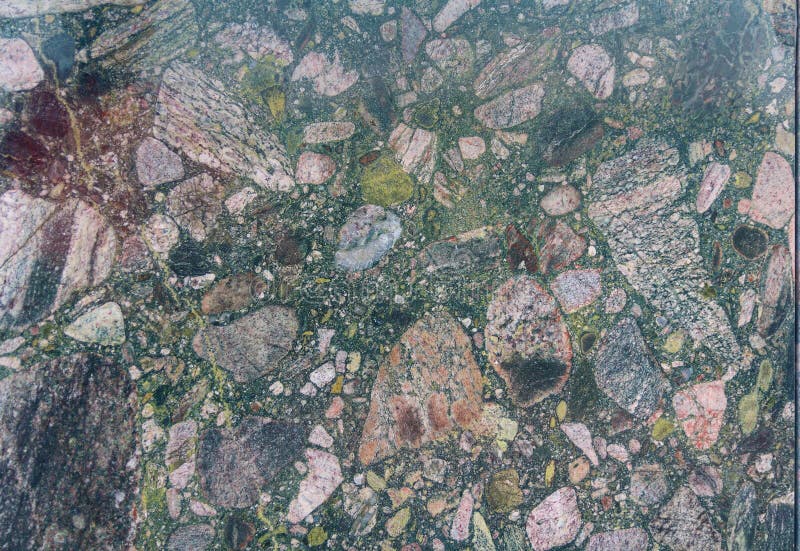 Finishing Stone, Crustacean Shell, Sedimentary Rock Stock Image - Image ...