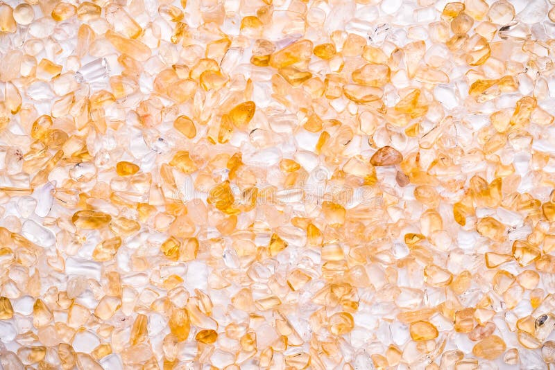 Light Yellow River Sand and Dark Brown Forest Land Stock Image - Image ...