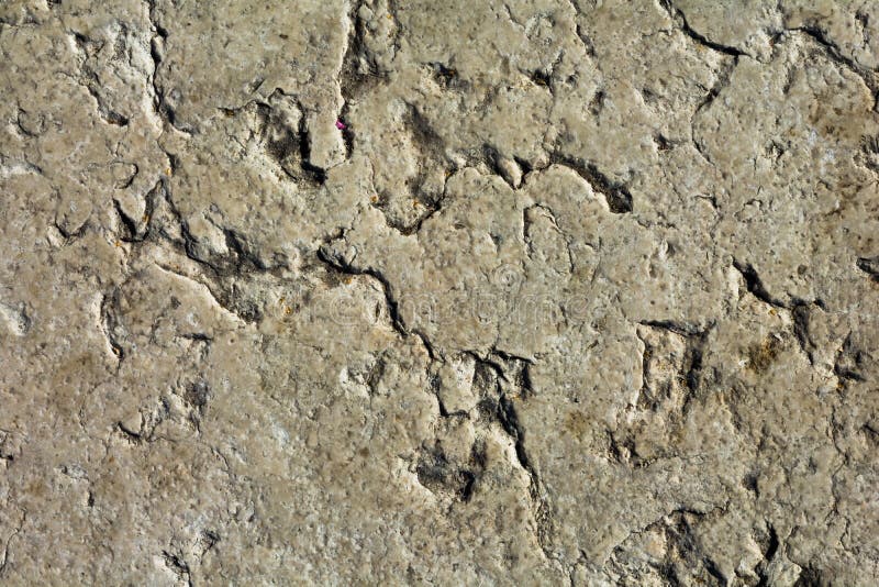 Polished Sandstone, Grunge Stone Texture Stock Photo - Image of close ...