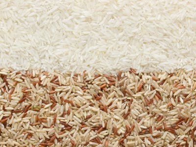 Polished and Unpolished Rice Stock Photo - Image of asian, starch: 17950758