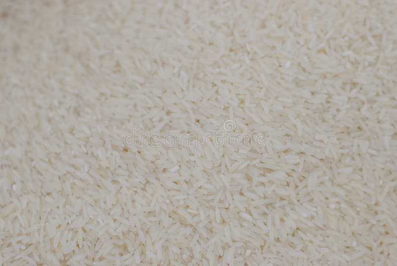 Polished white rice stock image. Image of asian, plant - 47945333
