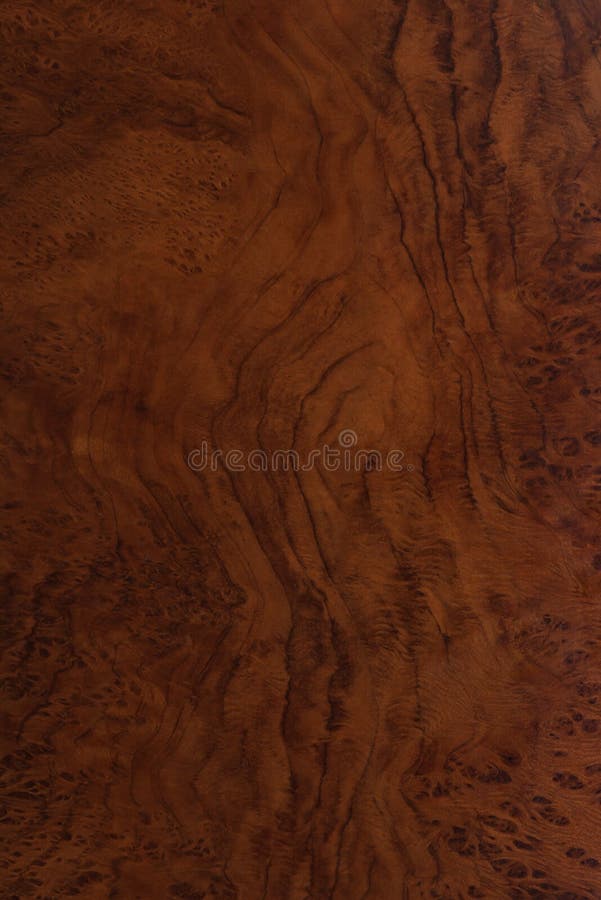Polished Wood Surface. the Background of Polished Wood Texture Stock ... Polished Wood Surface. the Background of Polished Wood Texture Stock ...