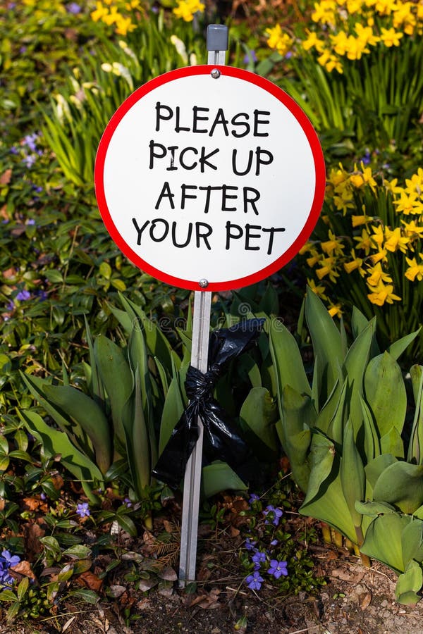 Polite Dog Shit Sign stock image. Image of pick, excrement - 39431849