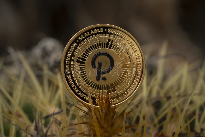 Polkadot DOT Crypto Coin Placed on Cactus Spikes Outdoors Editorial ...