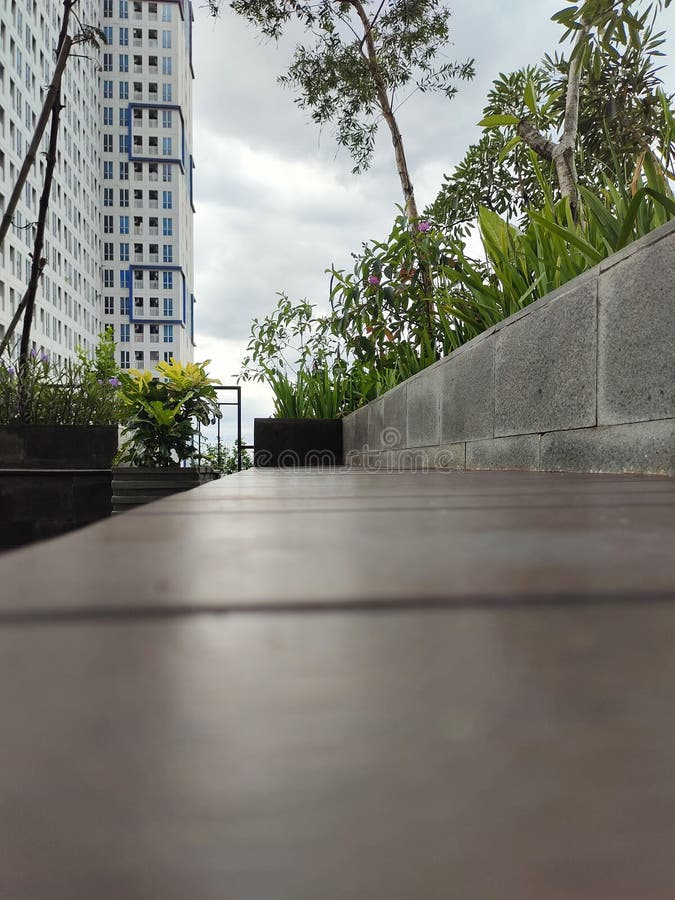 Poll park bench stock photo. Image of poll, bench, plants - 262435882