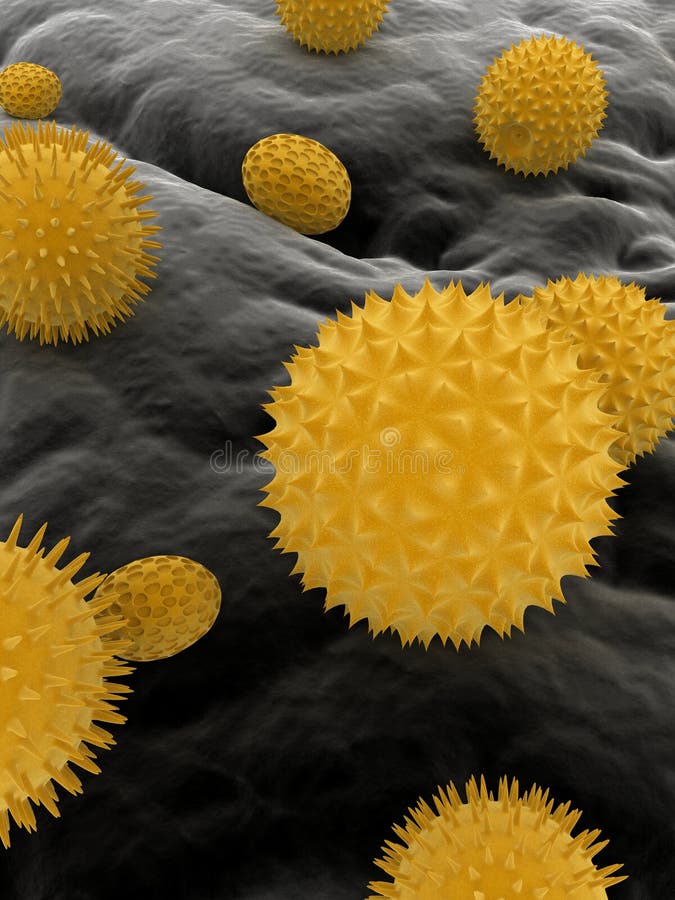 Pollen Allergy stock illustration. Illustration of nose - 39328268