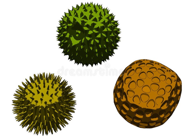 Pollen Vector Stock Illustrations – 26,615 Pollen Vector Stock ...