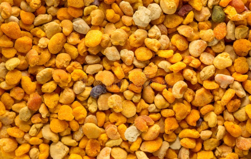 Pollen background stock image. Image of granule, dietary - 29623245