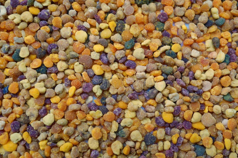 Pollen stock photo. Image of flowers, pollen, natural - 56311500