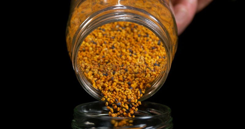 Pollen Dumplings Falling on Black Background Stock Image - Image of ...