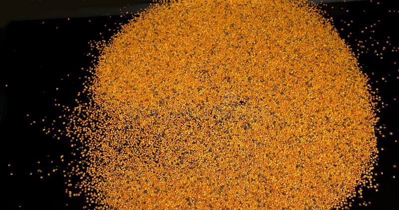 Pollen Dumplings Falling on Black Background Stock Photo - Image of ...