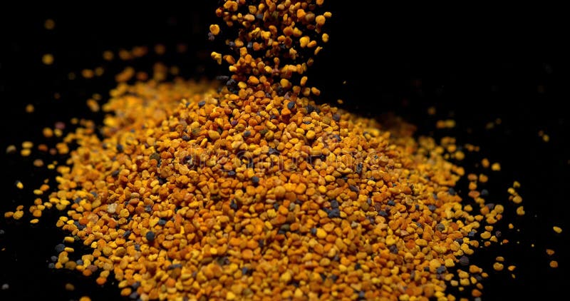 Pollen Dumplings Falling on Black Background, Slow Motion Stock Video ...