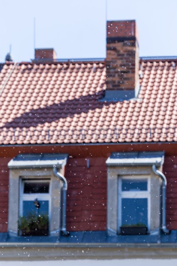 279 Pollen Windows Stock Photos - Free & Royalty-Free Stock Photos from ...