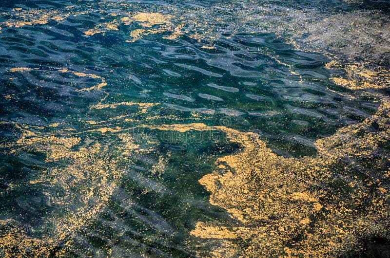 Spring Pollen Cluster in a Water Stock Photo - Image of antihistamine ...