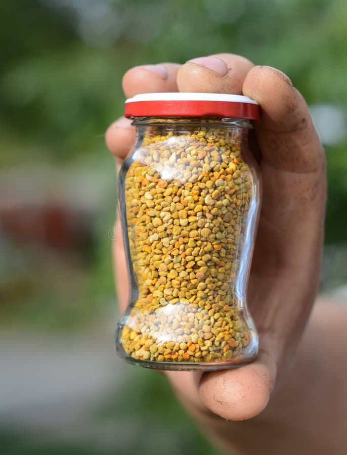 Pollen in a Glass Container. Healthy Eating Stock Photo - Image of ...