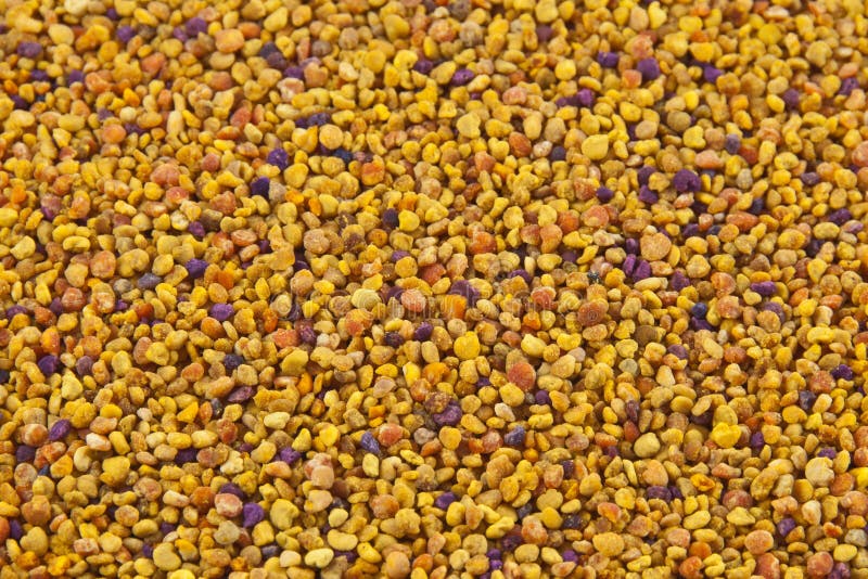 Pollen grains stock image. Image of supplement, food - 24433129