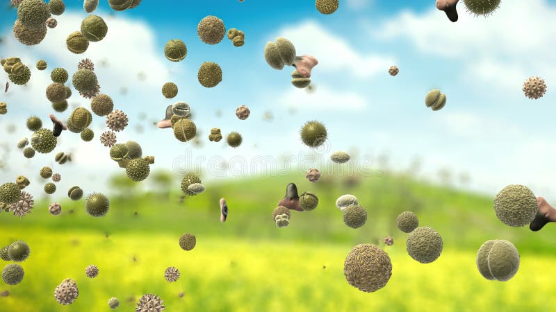 Pollen Grains, Which Can Trigger Allergies, are Transported through the ...