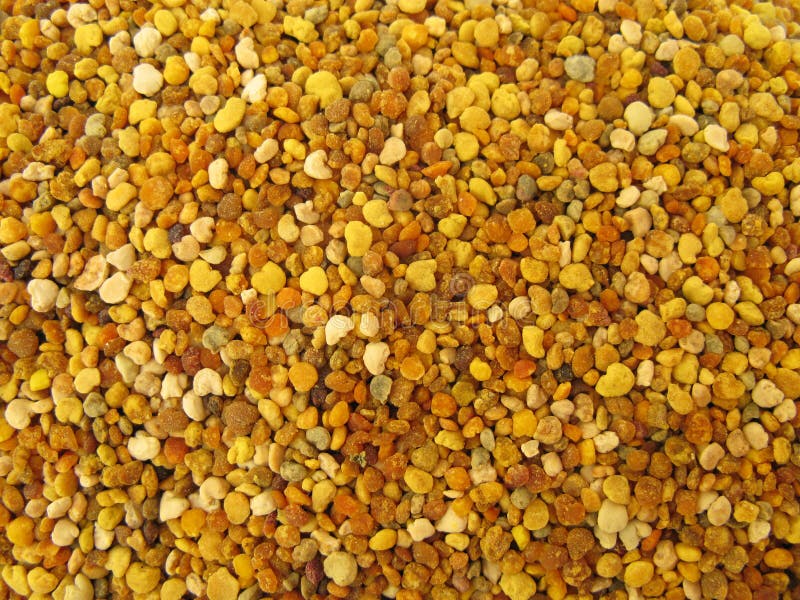 Pollen granules full frame stock photo. Image of food - 10788624
