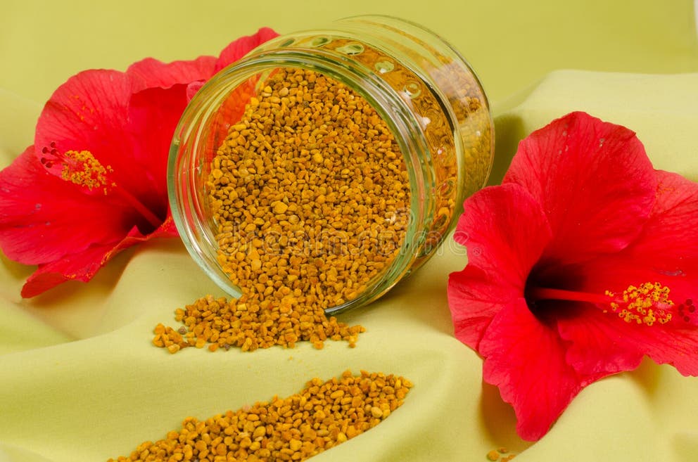 Pollen stock image. Image of food, ingredient, life, still - 37039935