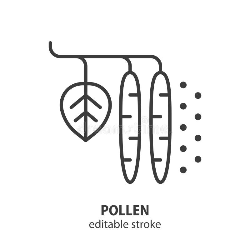 Pollen Line Icon. Alder Branch Vector Illustration. Allergy Symbol ...