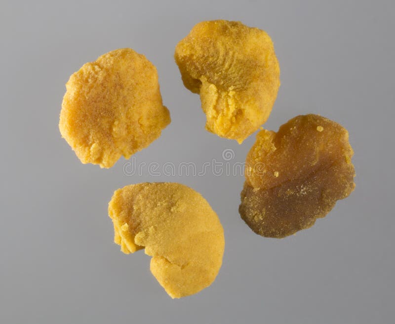 Pollen Loads - Macro Photo of Bee Pollen - Perga Stock Image - Image of ...