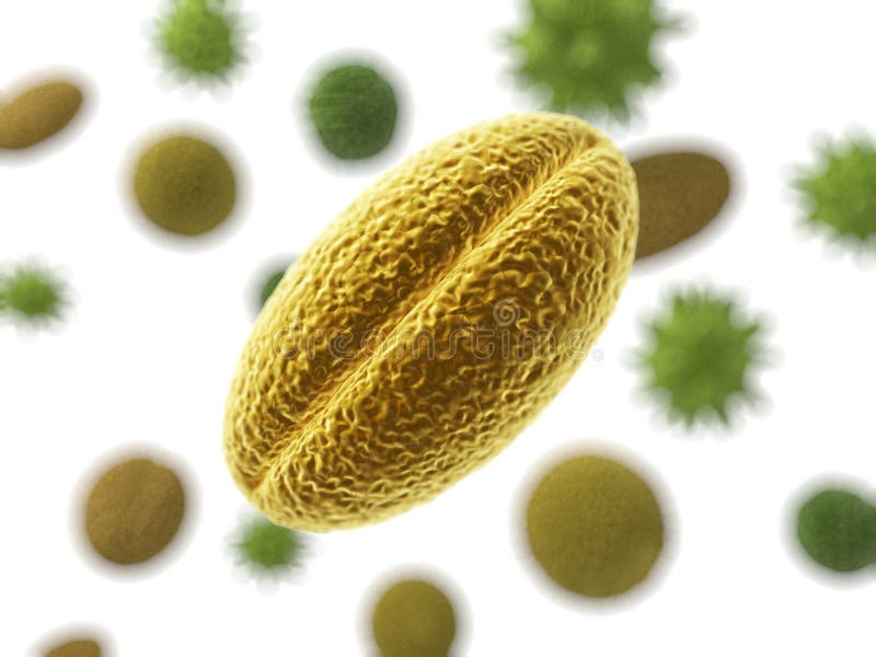 Pollen Particles - Close Up Stock Illustration - Illustration of ...