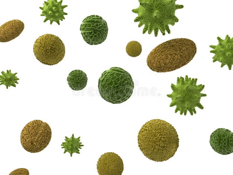 Pollen Particles - Close Up Stock Illustration - Illustration of ...