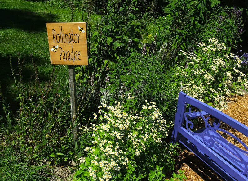 Pollinator Paradise in the Country Stock Photo - Image of ...